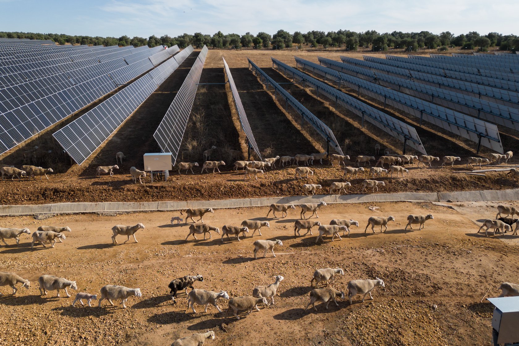 Aquila Clean Energy obtains EIS for six solar plants with a total ...